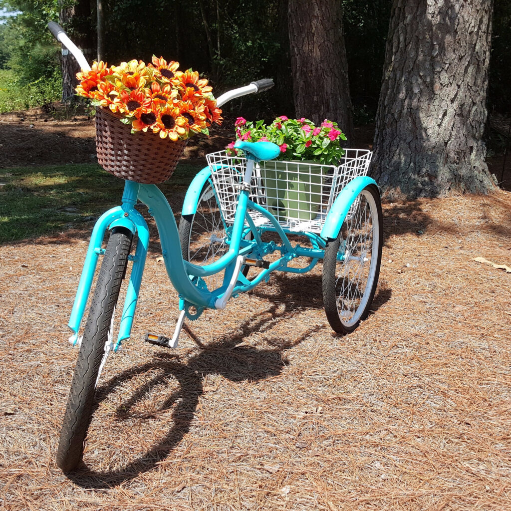 Make a Patio Vegetable Garden this Summer | diyhomegarden.blog
