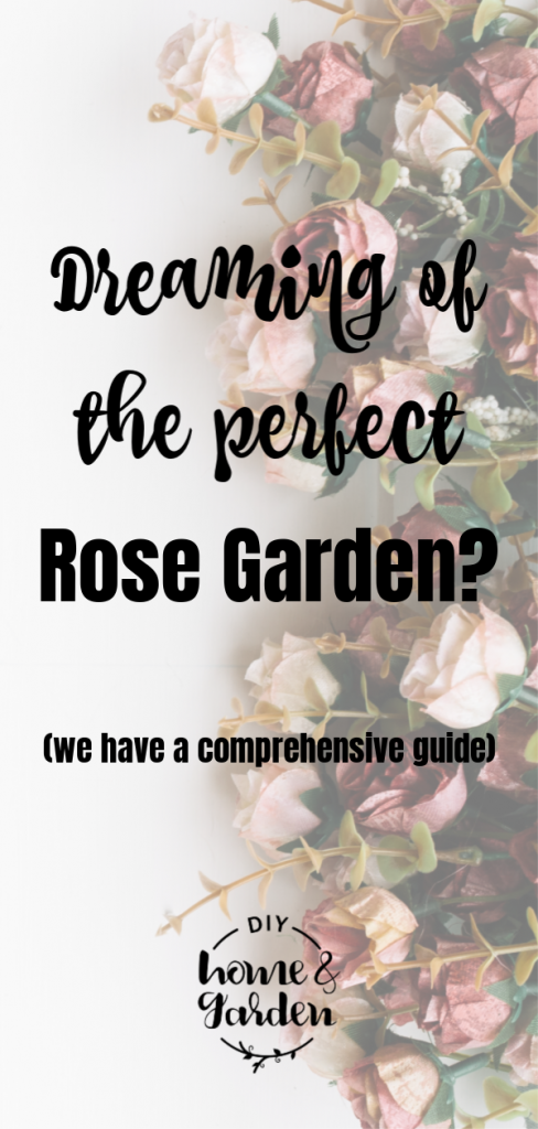 Dreaming of the Perfect Rose Garden? | diyhomegarden