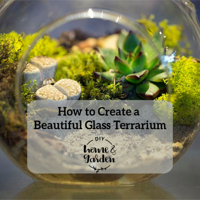How to Create a Beautiful Glass Terrarium | diyhomegarden.blog