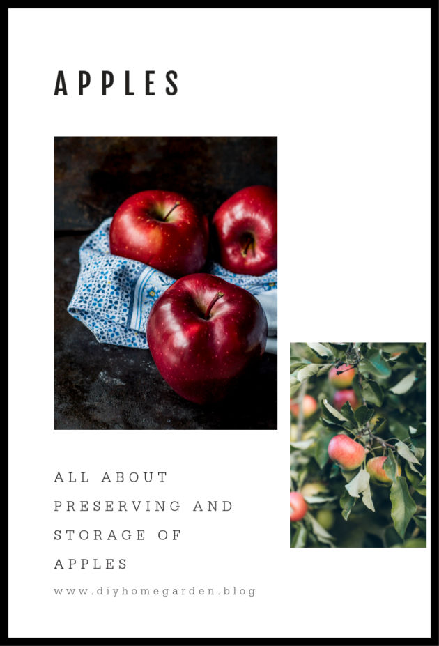 Apples: A Guide to Preserving & Storage of Apples | DIY Home & Garden