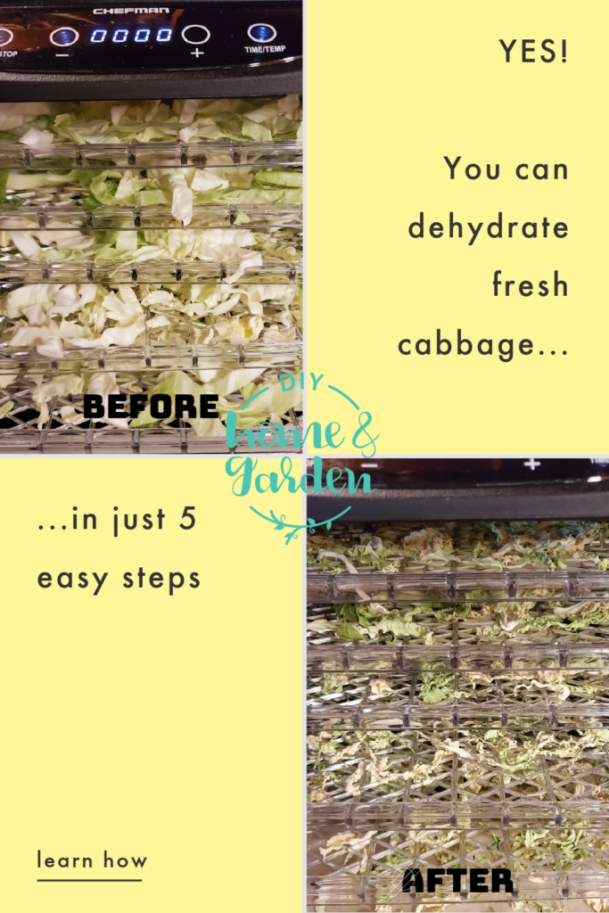 5 Super Simple Steps to Dehydrating Cabbage | diyhomegarden.blog