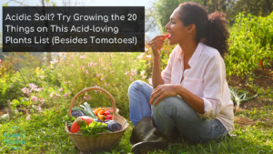 Acidic soil loving vegetables and fruits | DIY Home & Garden
