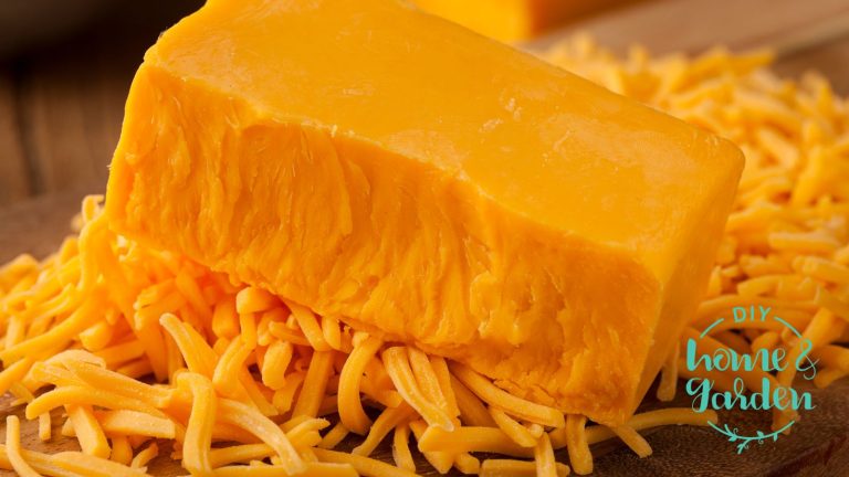 Cheddar cheese types and wine pairings | DIY Home Garden