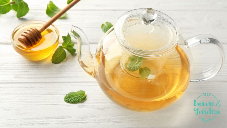 Lemon Balm Tea: A warm, relaxing recipe | DIY Home Garden