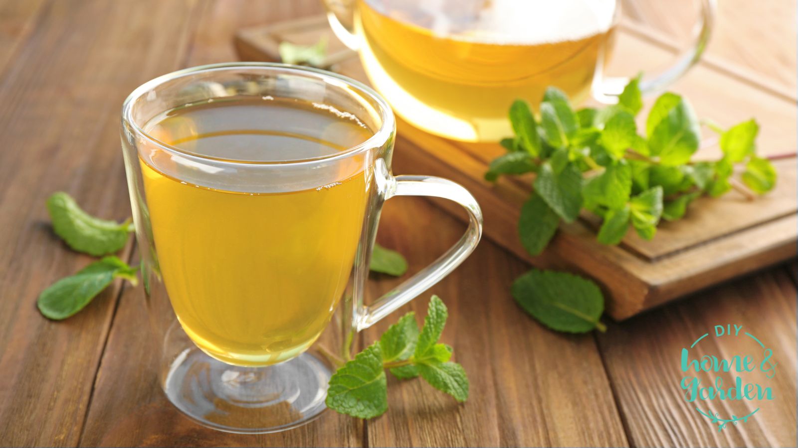 Lemon Balm Tea: A warm, relaxing recipe | DIY Home Garden